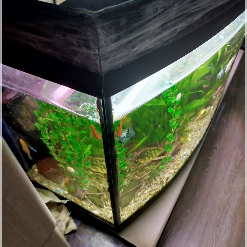 Террариум 162 лит