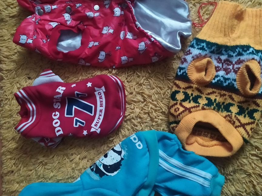 Одежда для маленьких собачек