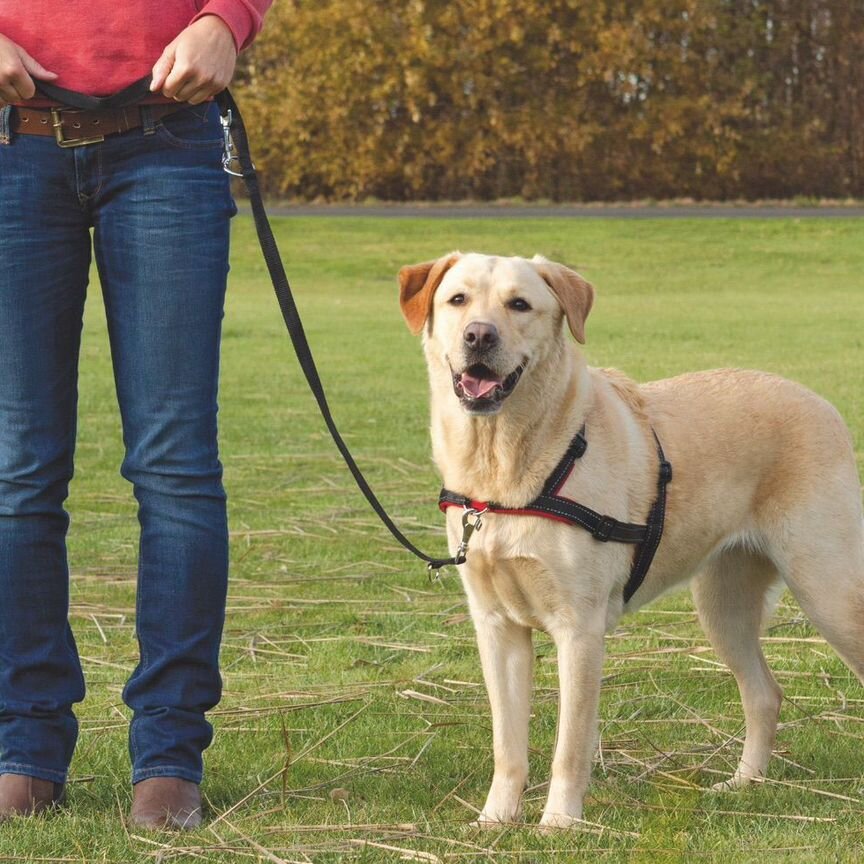 Шлейка для собак Trixie Lead and Walk Soft S-M