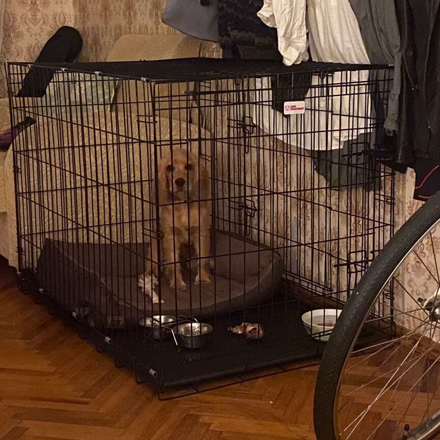 Клетка для собак leo factory большая