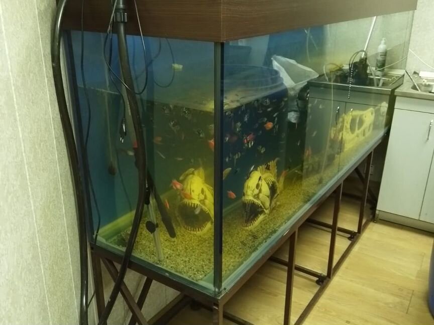Аквариум прямой на 750 литров