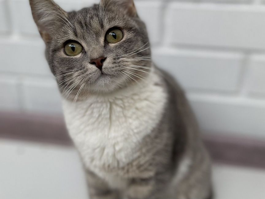 Барби в добрые руки