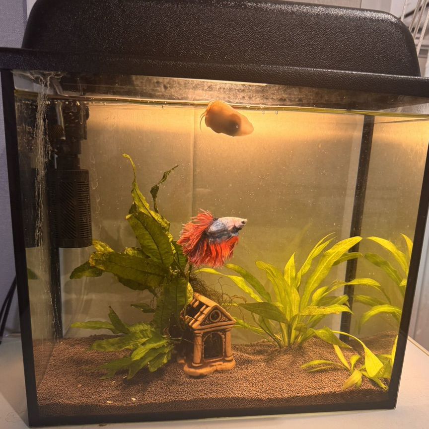 Аквариум под ключ