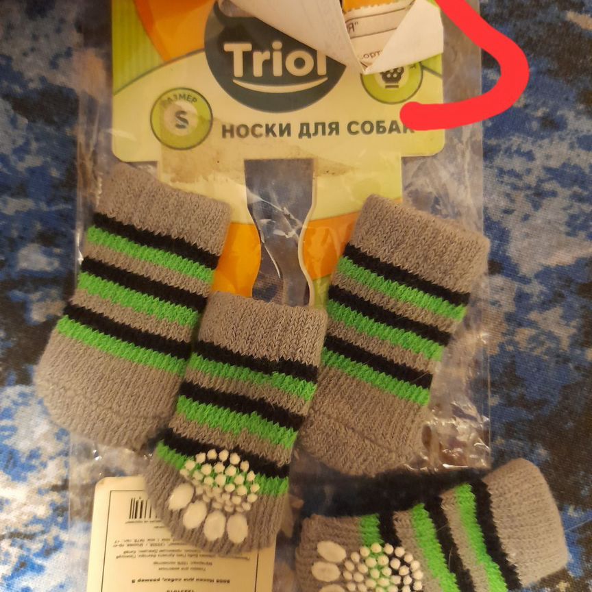 Вещи на щенка чихуахуа