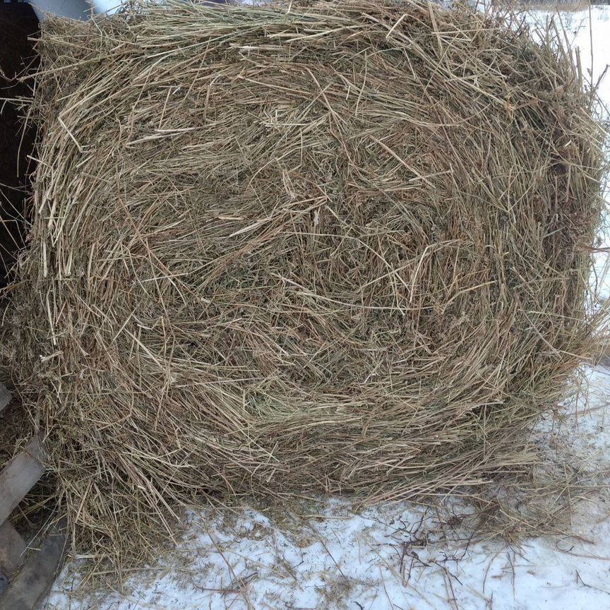 Сено в рулонах