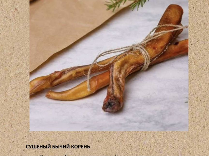 Догодент для собак бычий корень сушеный