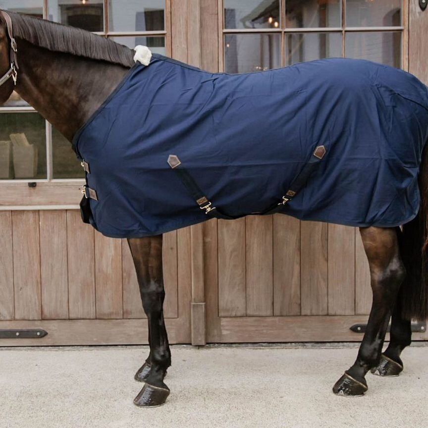 Денниковая попона Cotton от Kentucky - Синий