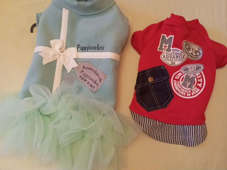 Платья для собак