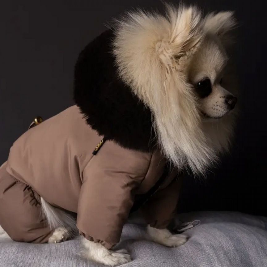 Комбинезон для собаки