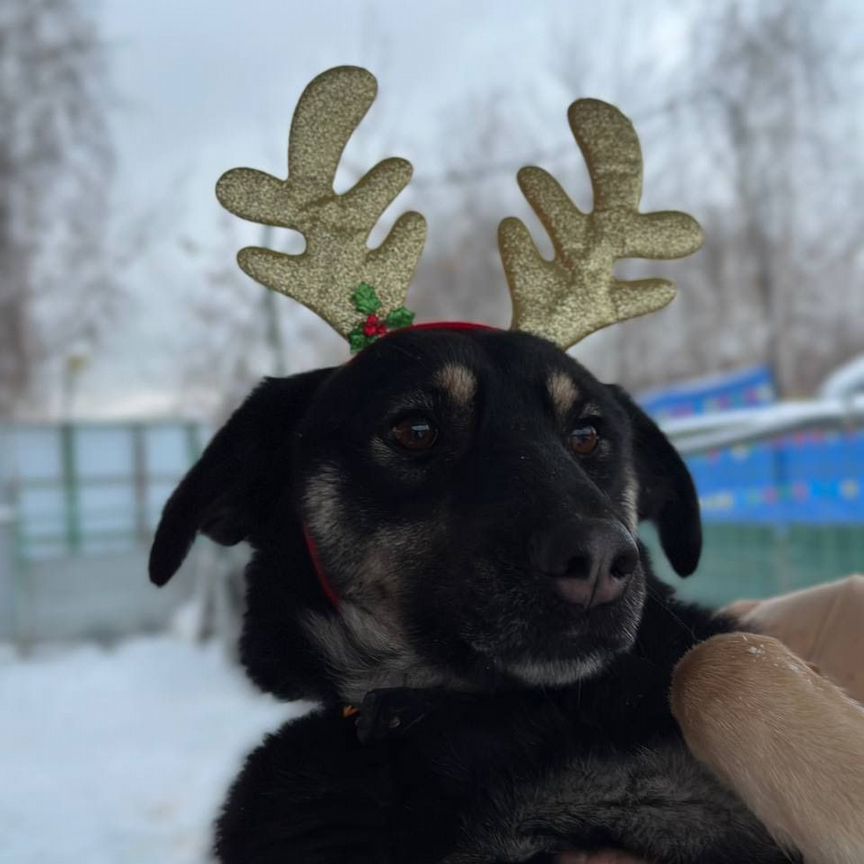 Малышка Хади с дополнительной поддержкой