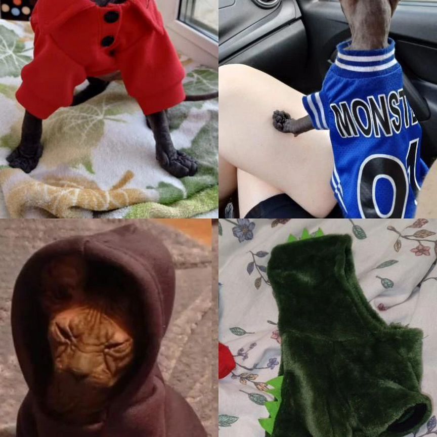 Вещи на кошку