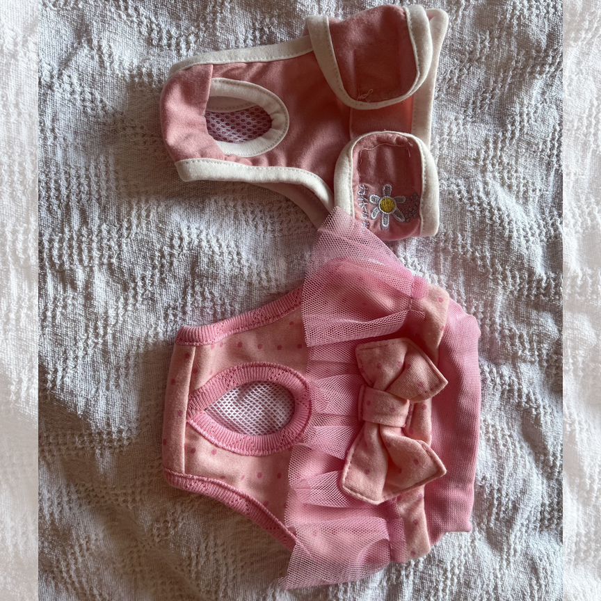 Одежда для маленьких пород собак