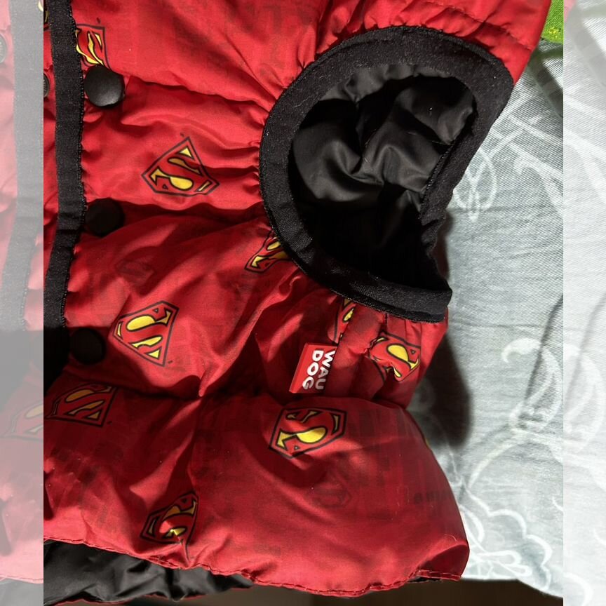 Жилетка для маленькой собаки