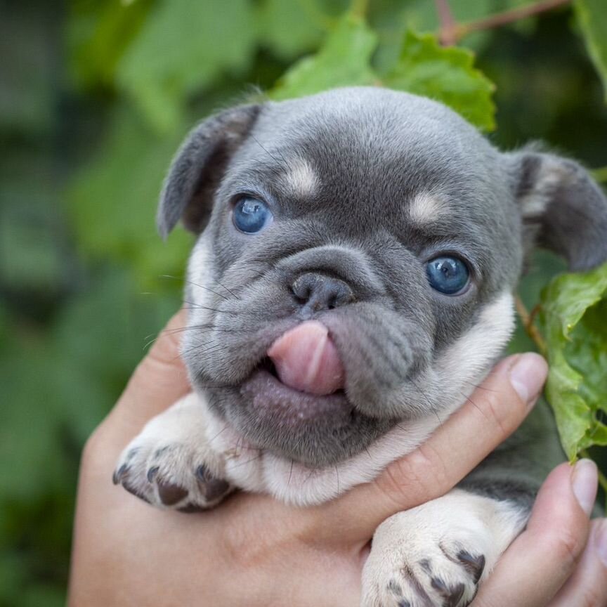 Сладкий синеглазый парень