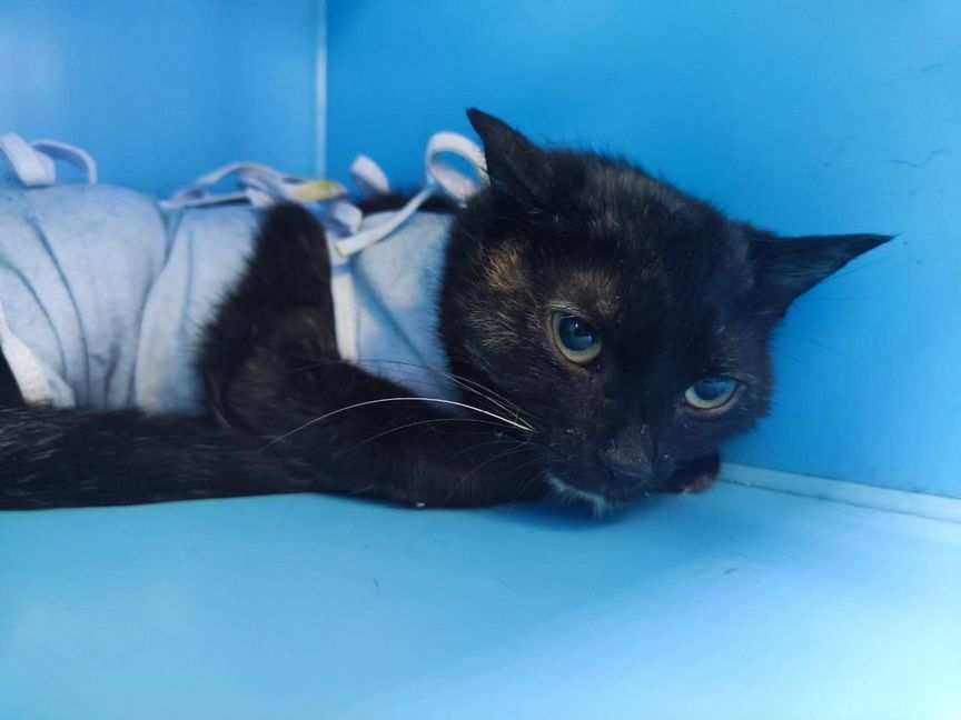 Неужели я не узнаю,что такое семья