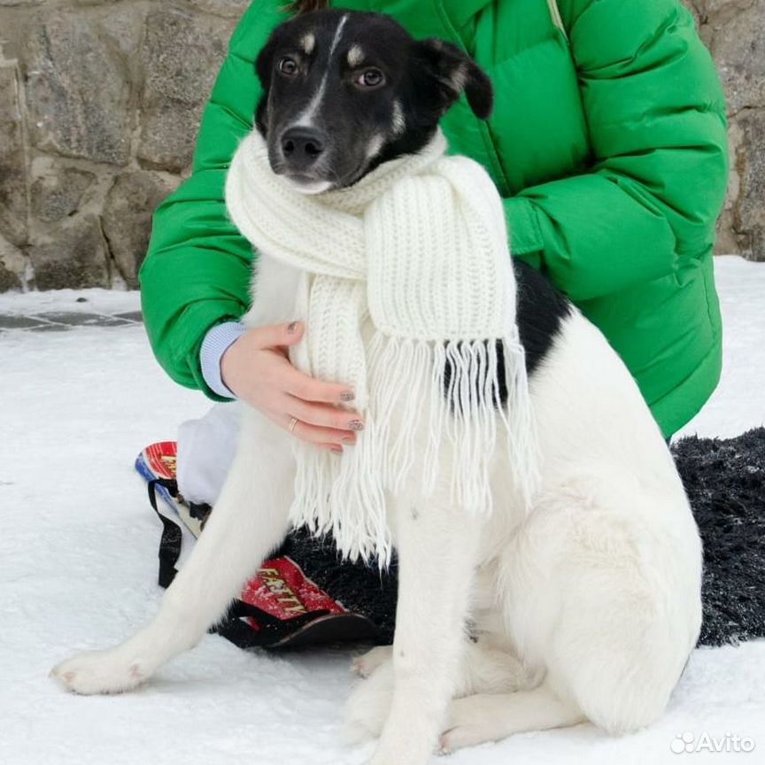 Малыш,8 месяцев