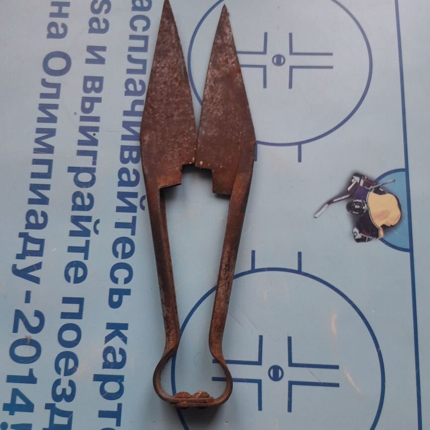 Ножницы для стрижки овец