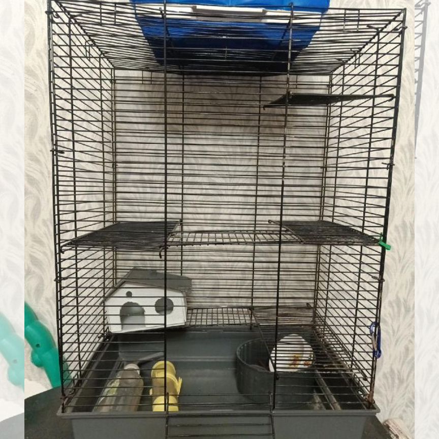 Клетка для грызунов бесплатно отдам