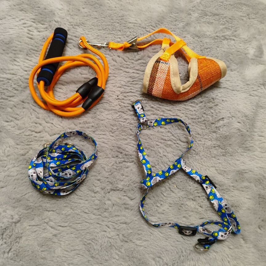 Шлейка для маленькой собаки