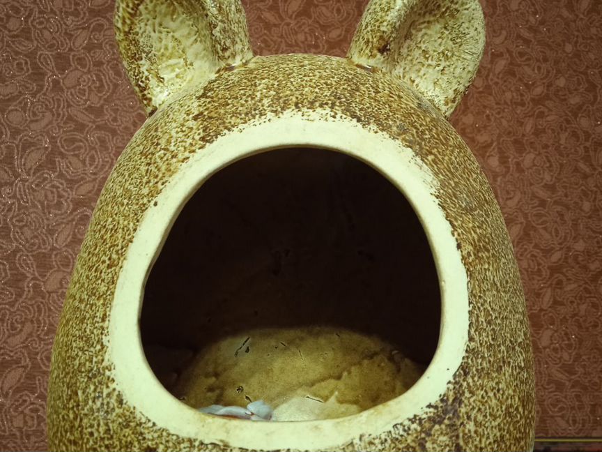 Домик для животных