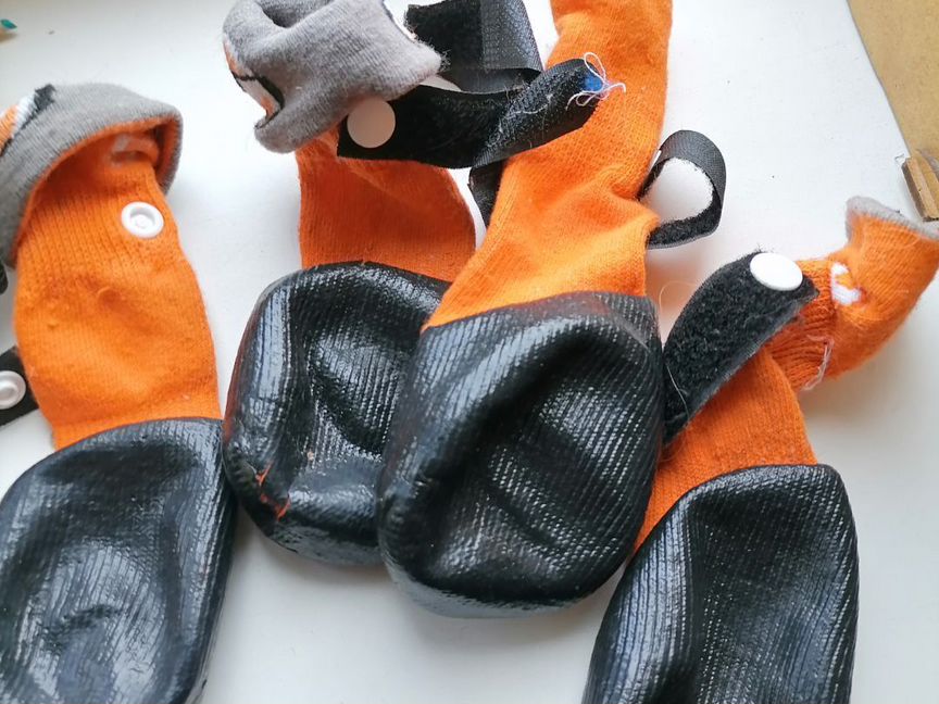 Обувь для собак