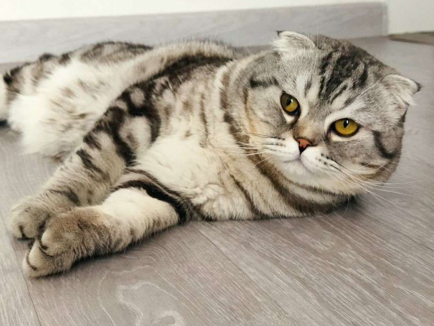 Вязка