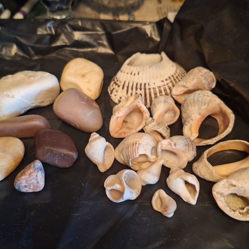 Маленкие ракушки и камушки с моря