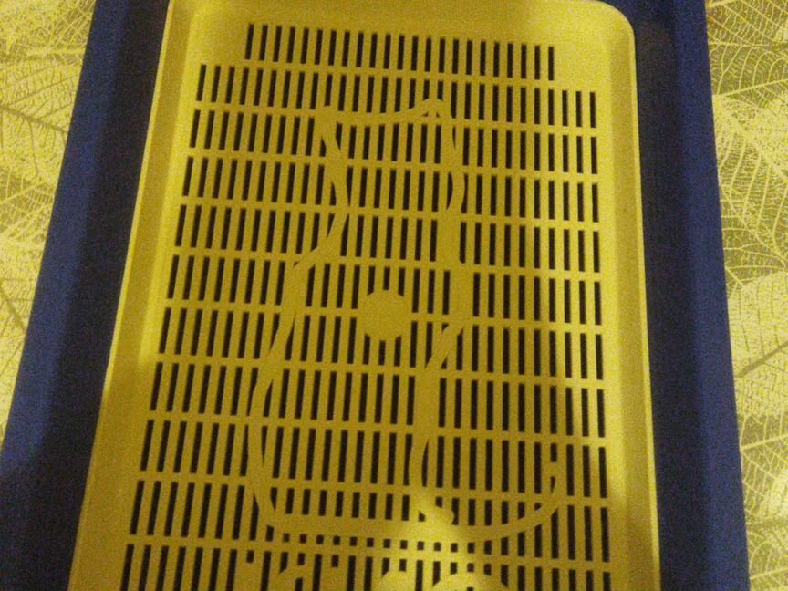 Отдам даром за влажный корм феликс