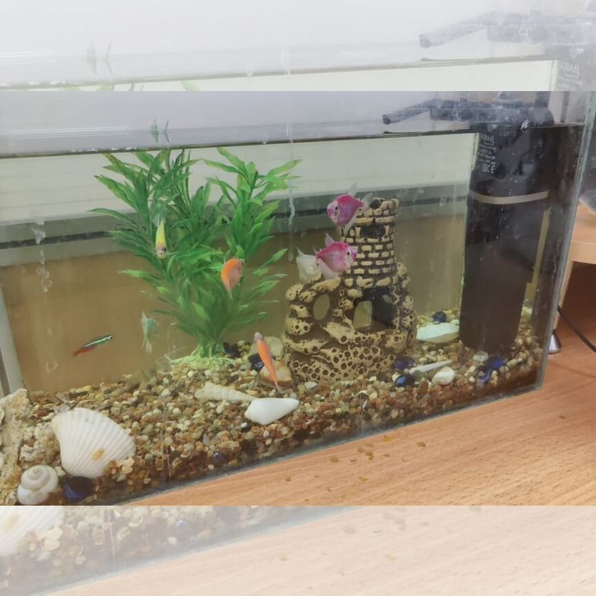 Аквариум с рыбками