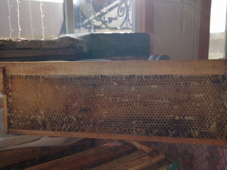 Сушь для пчел дадан