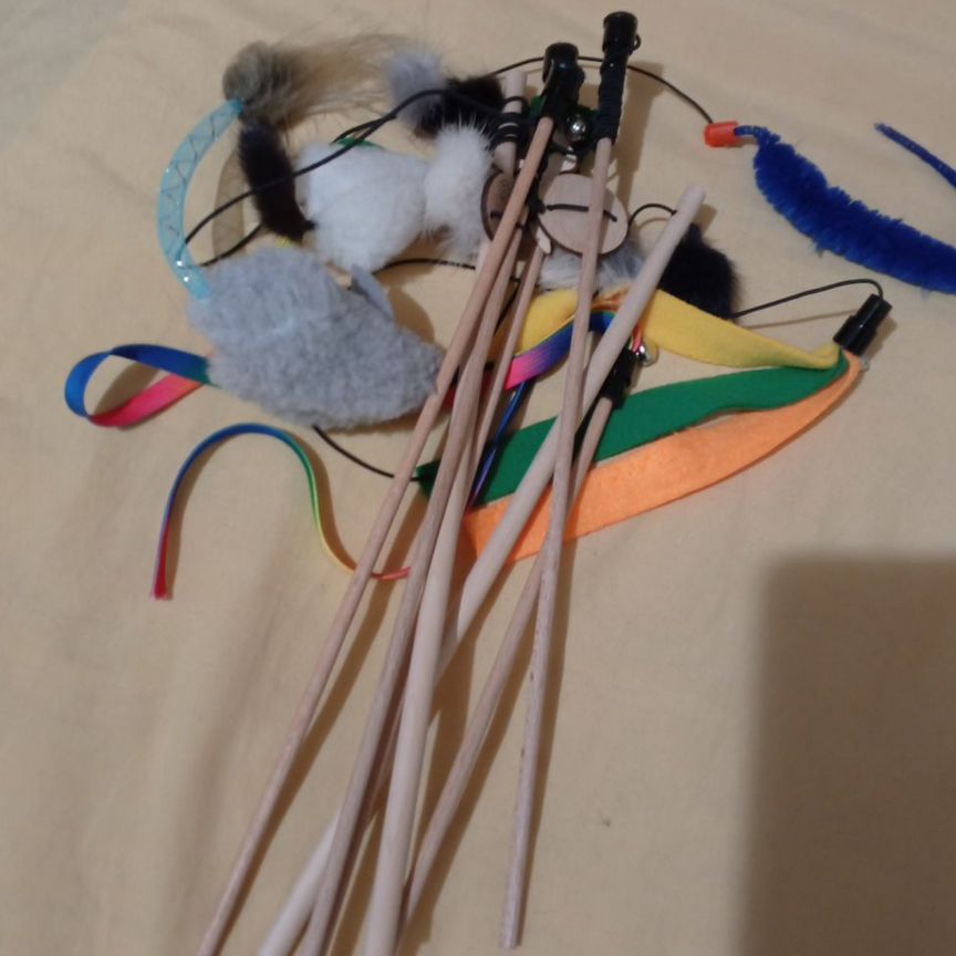 Кошачьи принадлежности