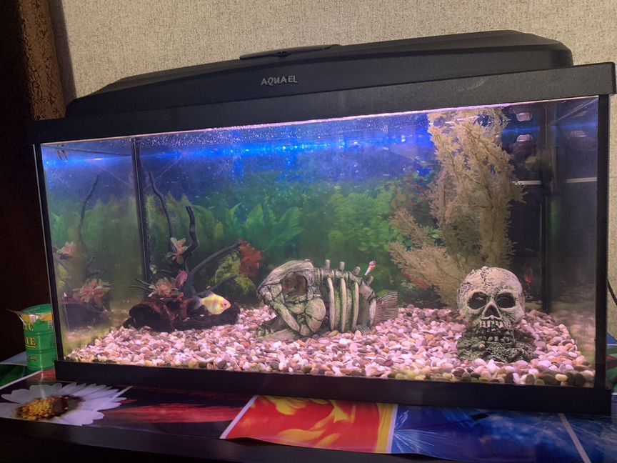 Аквариум aquael 54 литра
