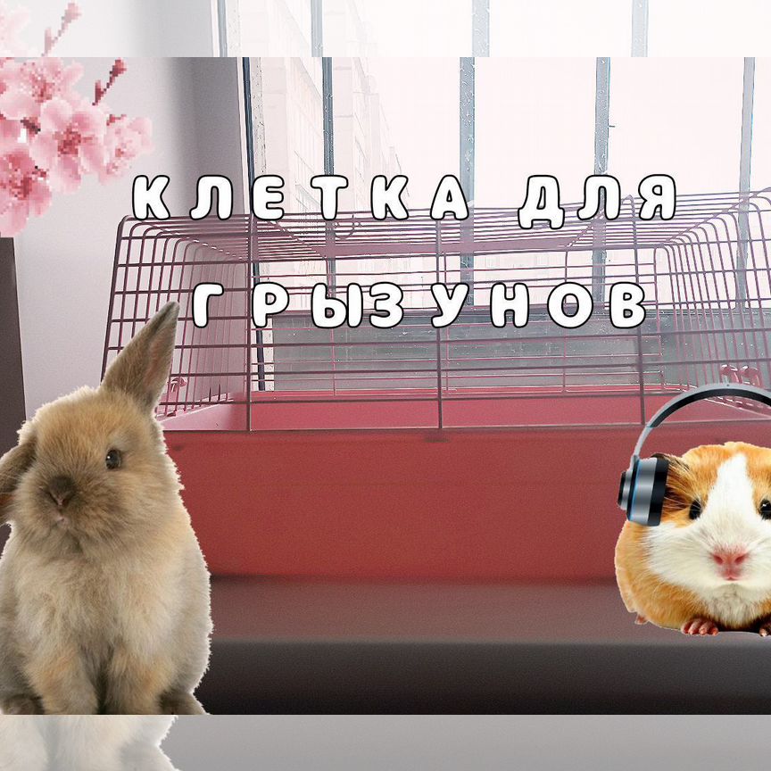 Клетка для грызунов