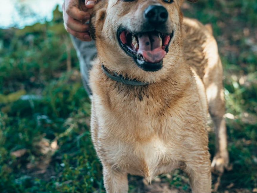Цукат. жизнь взаперти