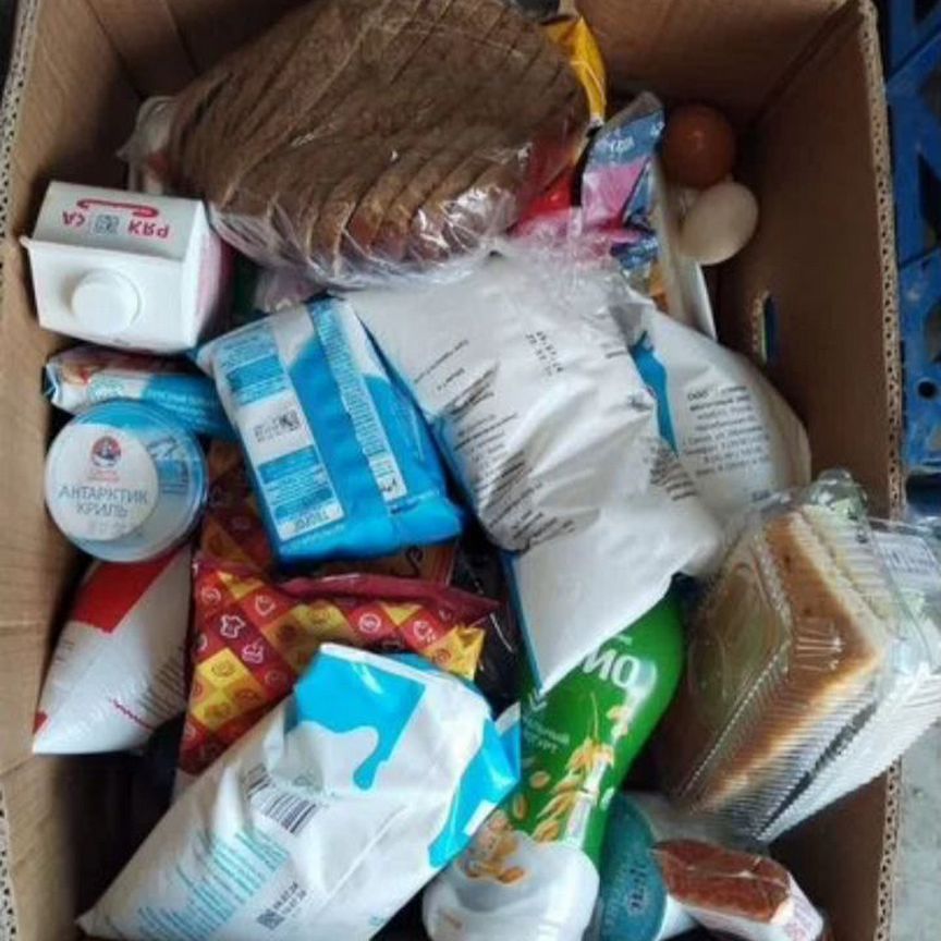 Продукция на корм с/х животным