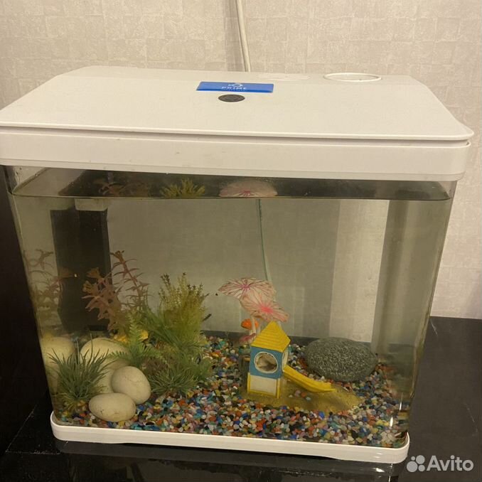 Аквариум prime, 15л, белый,с фильтром и кормушкой