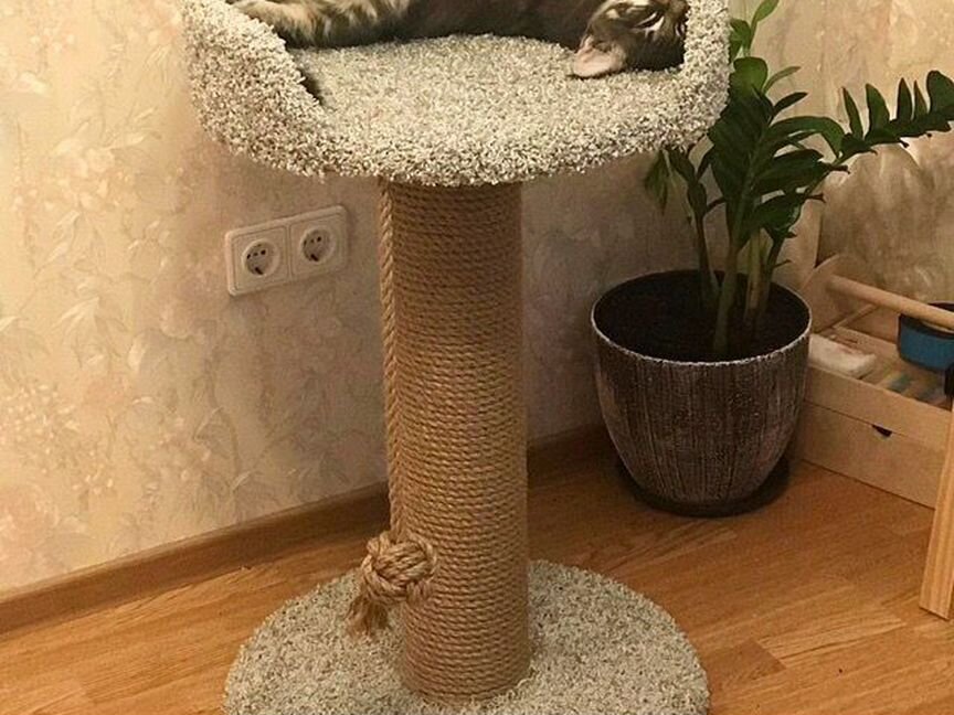 Новая когтеточка, наличие и на заказ