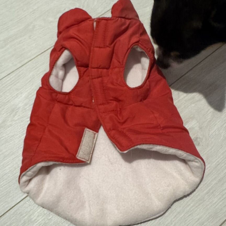 Костюм для маленькой собаки