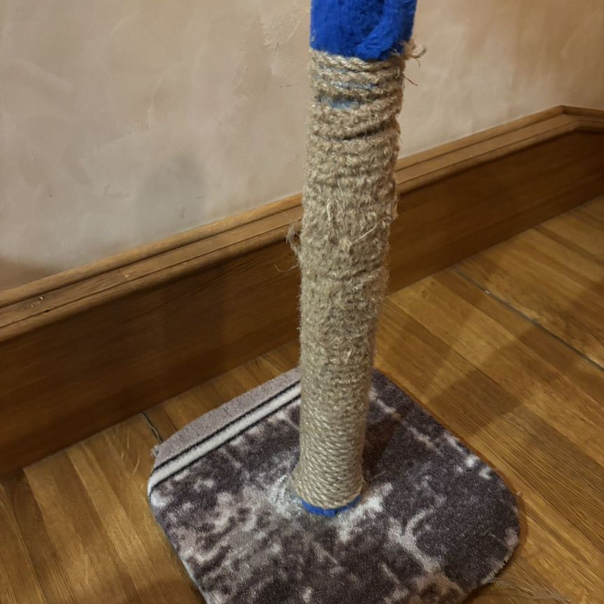 Когтеточка