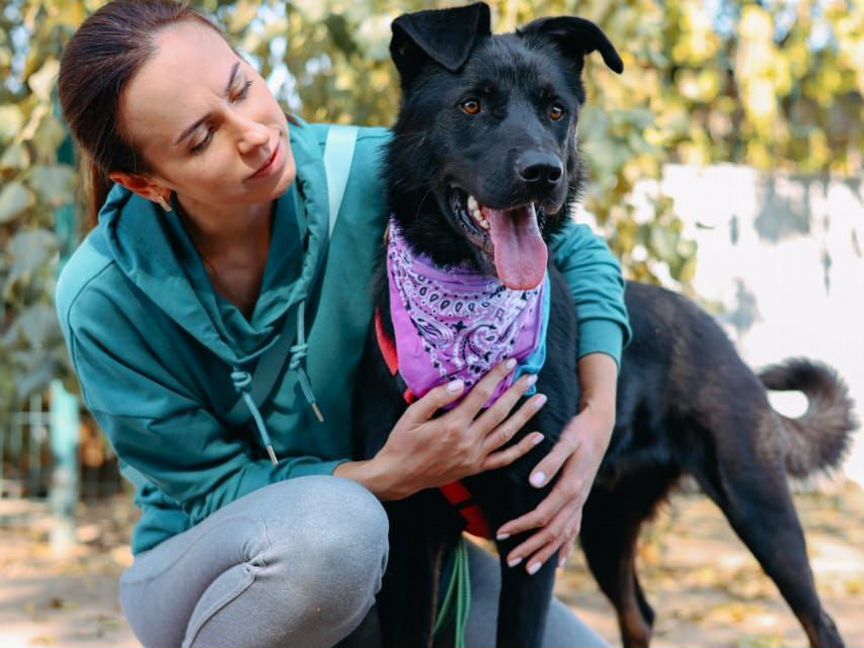 Кареглазый пёс Снуппи