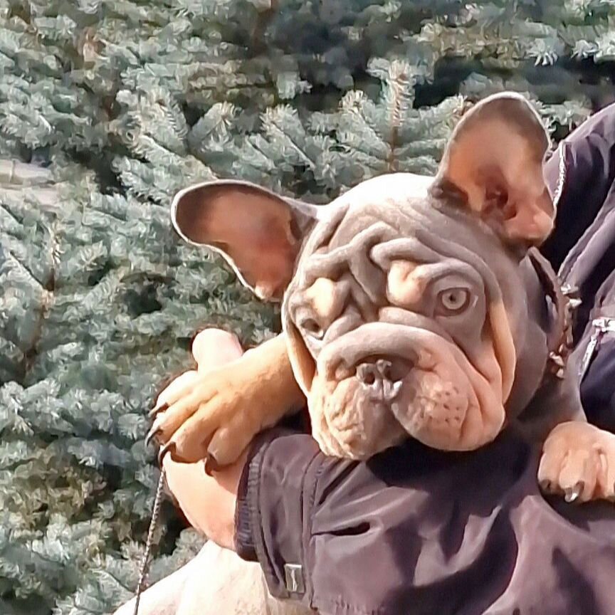 Бигроп(5мес)bigrope