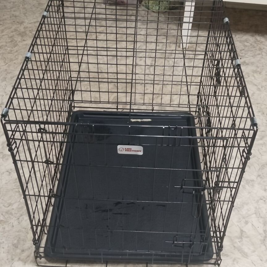 Клетка в аренду