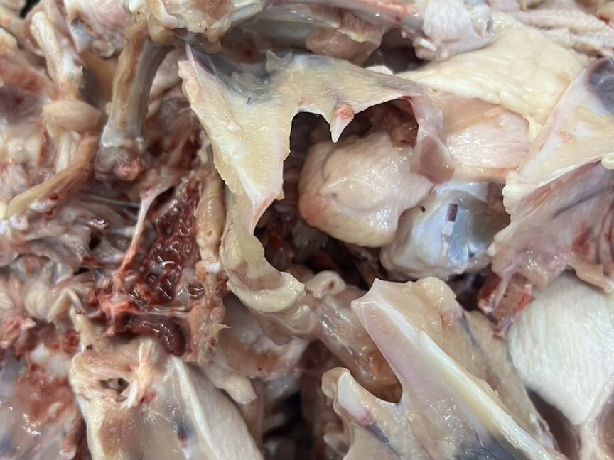 Кости куриные для собак,спинка,шея,суповой набор