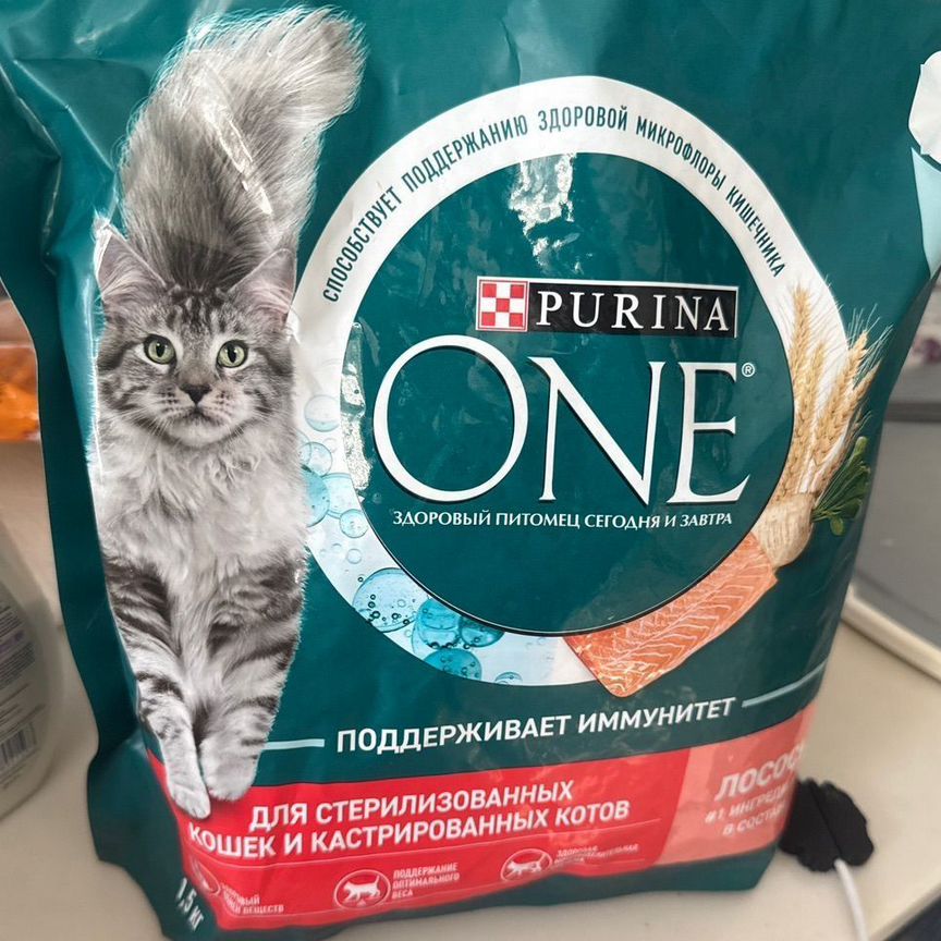 Корм для кошек