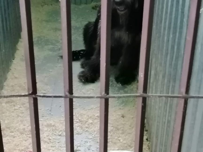 Так выглядит тоска