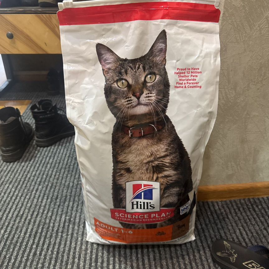 Сухой корм для кошек