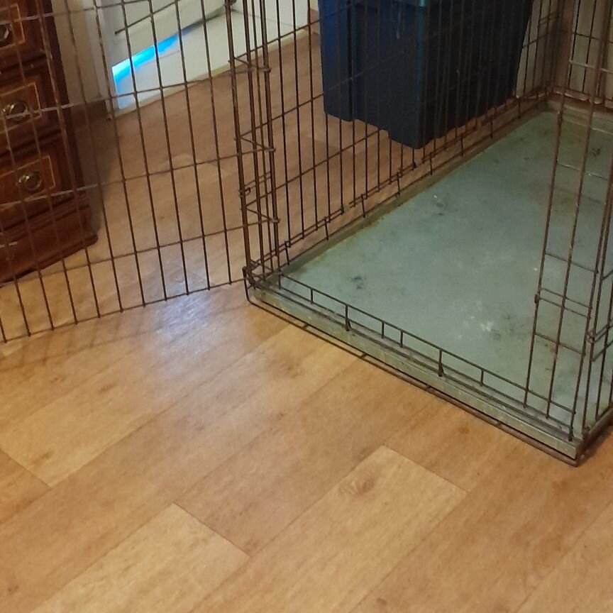 Клетка для большой собаки бу