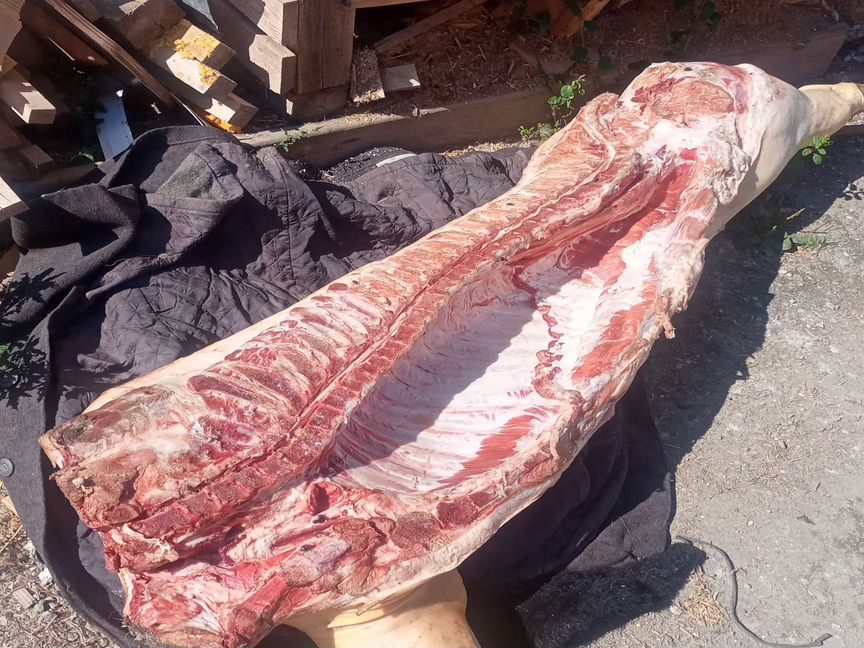 Мясо свинина (хряк)