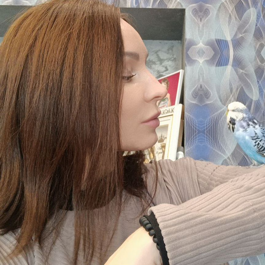 Попугай чех