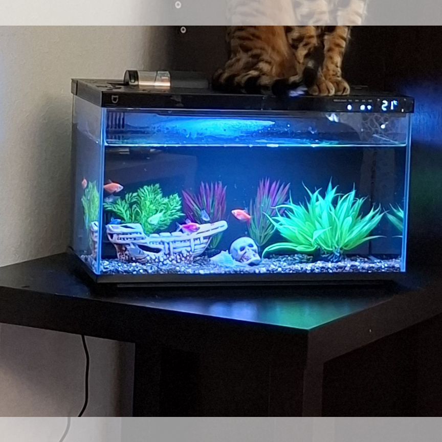 Умный аквариум Mijia SMART Fish Tank MYG100
